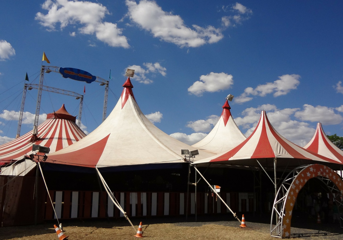 Brňané, chcete ve městě cirkus? Můžete hlasovat, zda má město ...