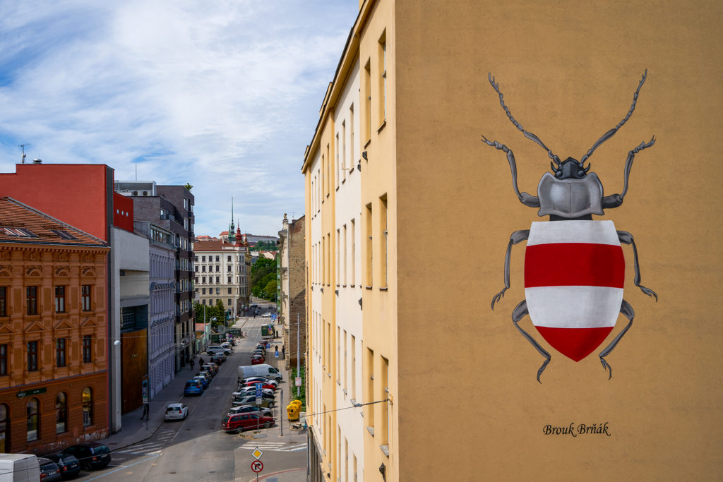 Brno rozšířilo počet autentických prohlídek, které zavedou i na méně ...