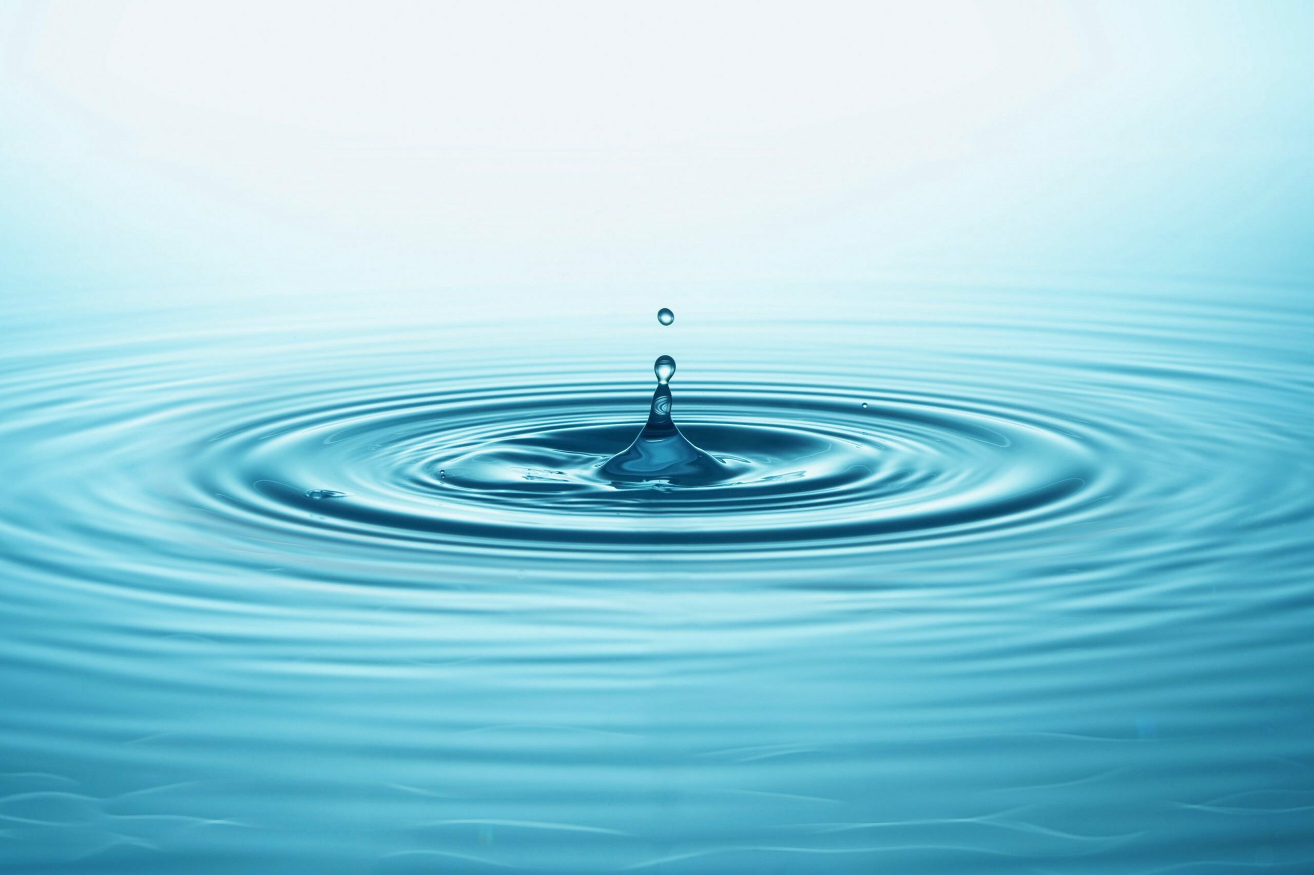 Život ve vodě - Brňan