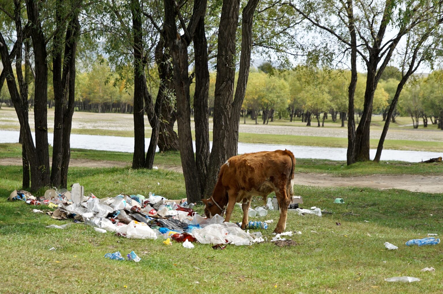 Vědci varují před plasty v půdě, organické hmotě i rostlinách - Brňan